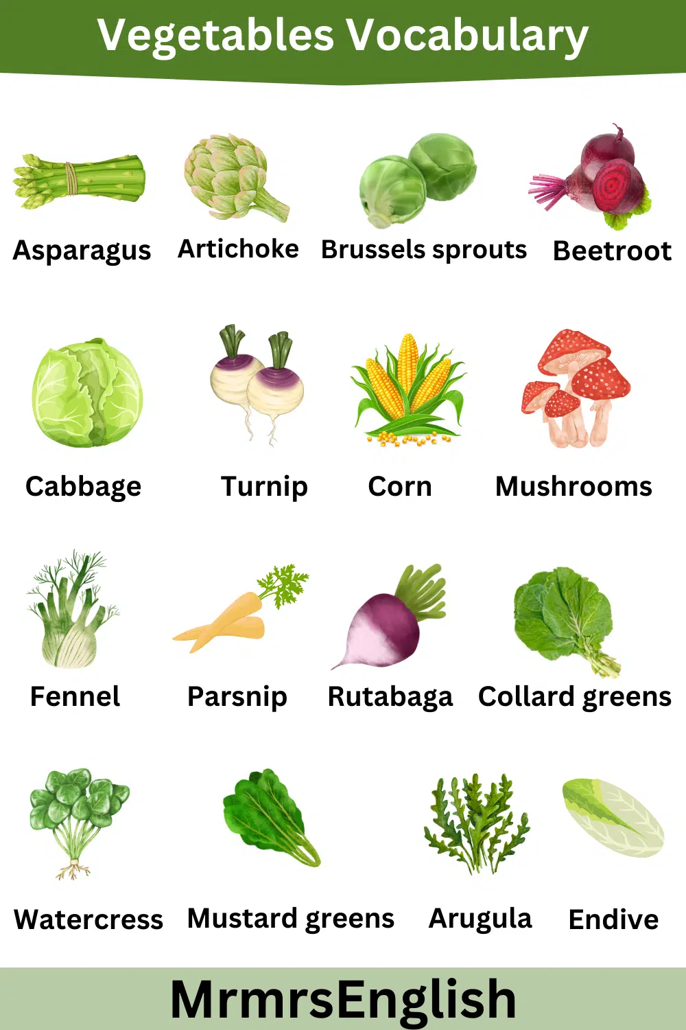 Vegetables English Vocabulary List With Pictures