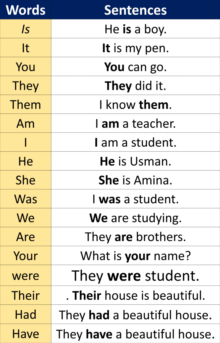 Vocabulary Words With Sentences | Making English Sentences