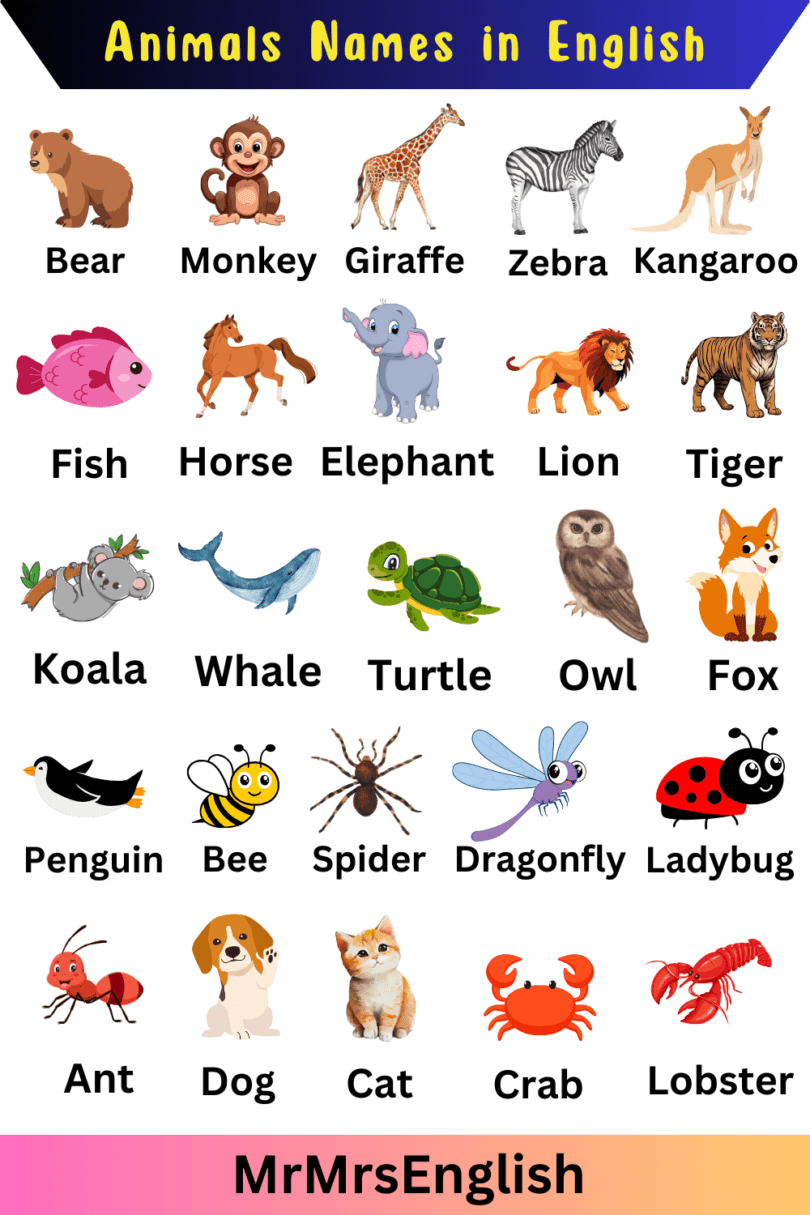Name of Animals in English with Pictures - MR MRS ENGLISH