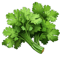 Vegetables Vocabulary Words with Pictures in English - MR MRS ENGLISH