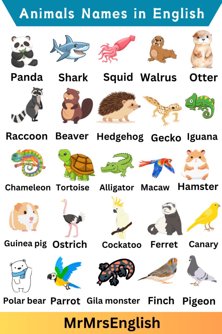Name of Animals in English with Pictures - MR MRS ENGLISH