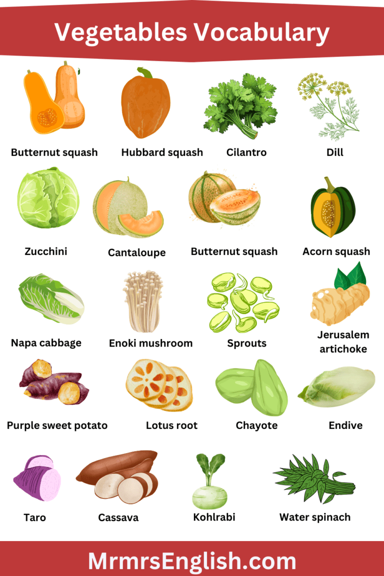 Vegetables Vocabulary Words with Pictures in English - MR MRS ENGLISH