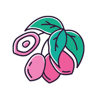 Fruits Vocabulary words with Sentences in English with Pictures - MR ...