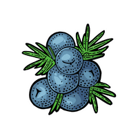 Fruits Vocabulary words with Sentences in English with Pictures - MR ...