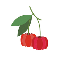 Fruits Vocabulary words with Sentences in English with Pictures - MR ...