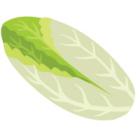 Vegetables Vocabulary Words with Pictures in English - MR MRS ENGLISH