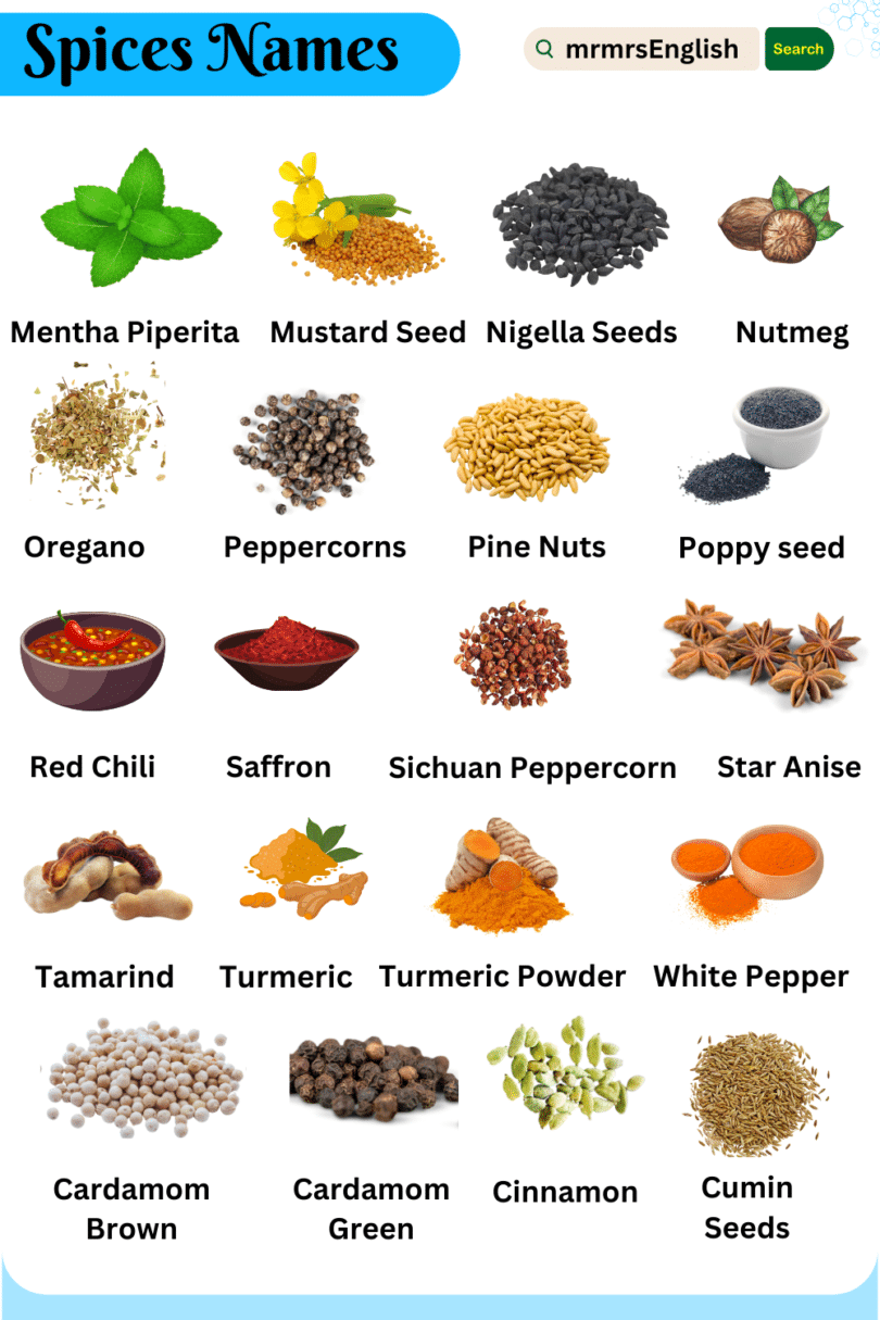 Spices Names English with Pictures | Spices Vocabulary - MR MRS ENGLISH
