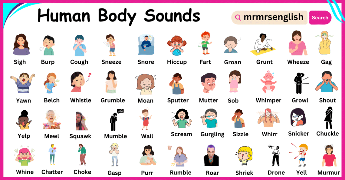 Human Body Sounds Names in English with Images - MR MRS ENGLISH