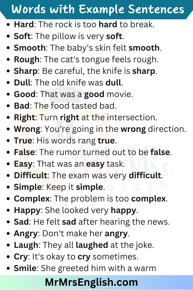 Daily Used Basic English Words with Example Sentences - MR MRS ENGLISH