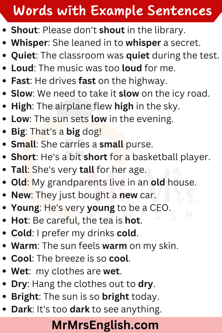 Daily Used Basic English Words with Example Sentences - MR MRS ENGLISH
