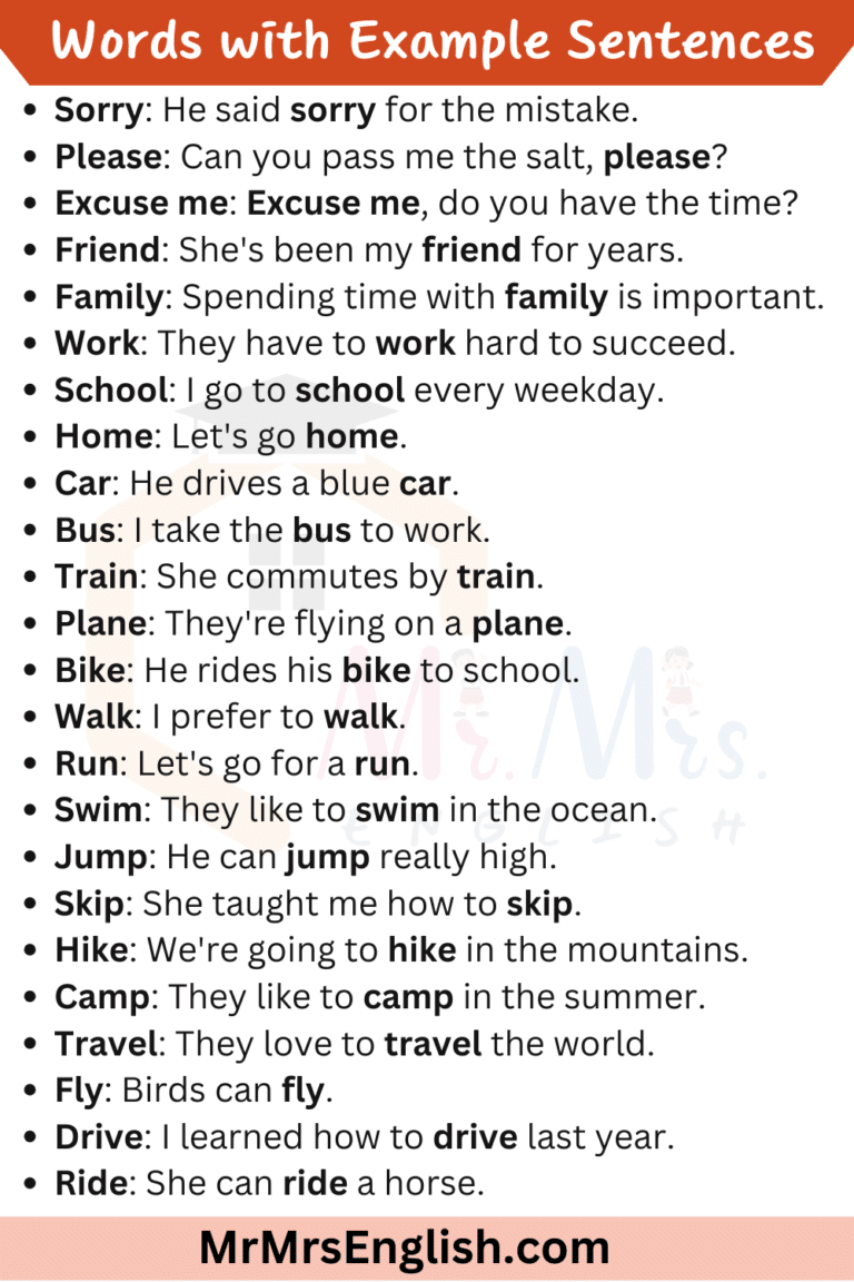 Daily Used Basic English Words with Example Sentences - MR MRS ENGLISH
