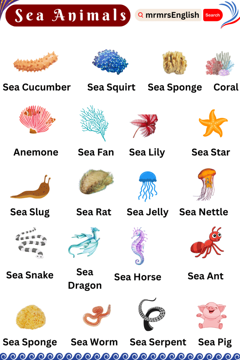 Sea Animals Name in English with Their Pictures - MR MRS ENGLISH