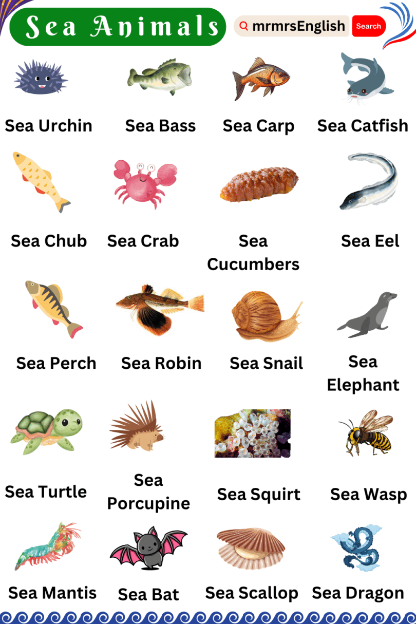Sea Animals Name in English with Their Pictures - MR MRS ENGLISH