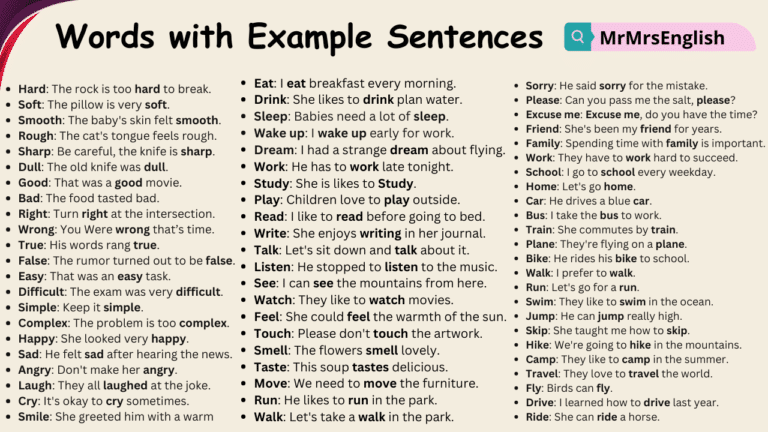 Daily Used Basic English Words with Example Sentences - MR MRS ENGLISH