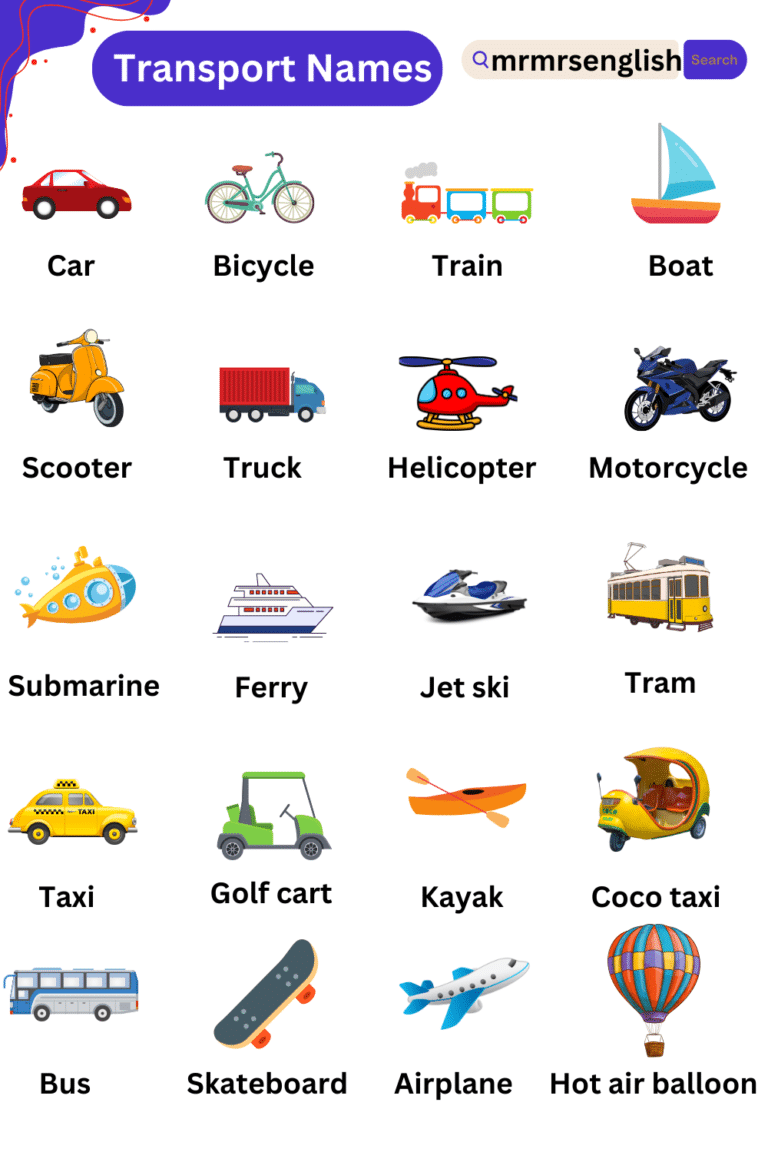 Types of Transports Names vocabulary in English with Images - MR MRS ...
