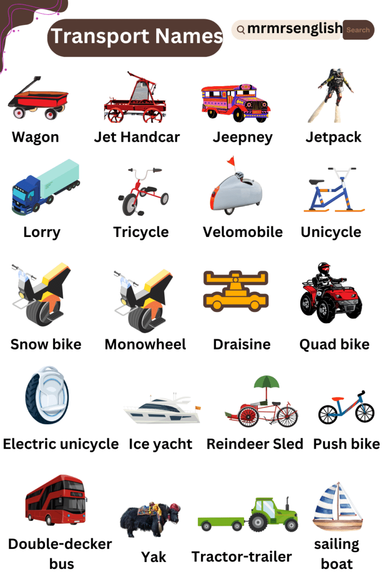 Types of Transports Names vocabulary in English with Images - MR MRS ...