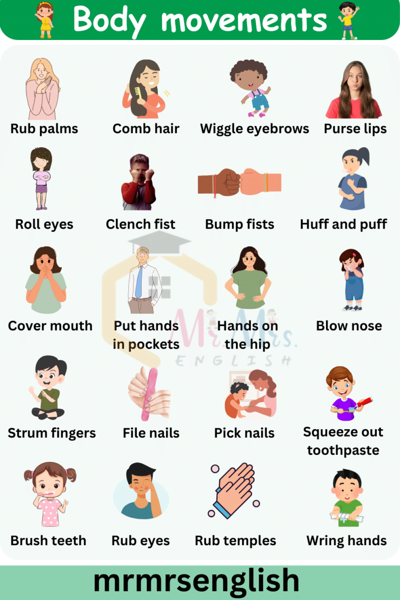 Humans Body Movements Names Vocabulary and Their Pictures - MR MRS ENGLISH