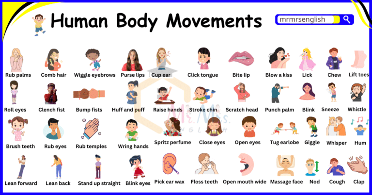 Humans Body Movements Names Vocabulary and Their Pictures - MR MRS ENGLISH