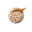 Different Types of Beans Names in English and Their pictures - MR MRS ...