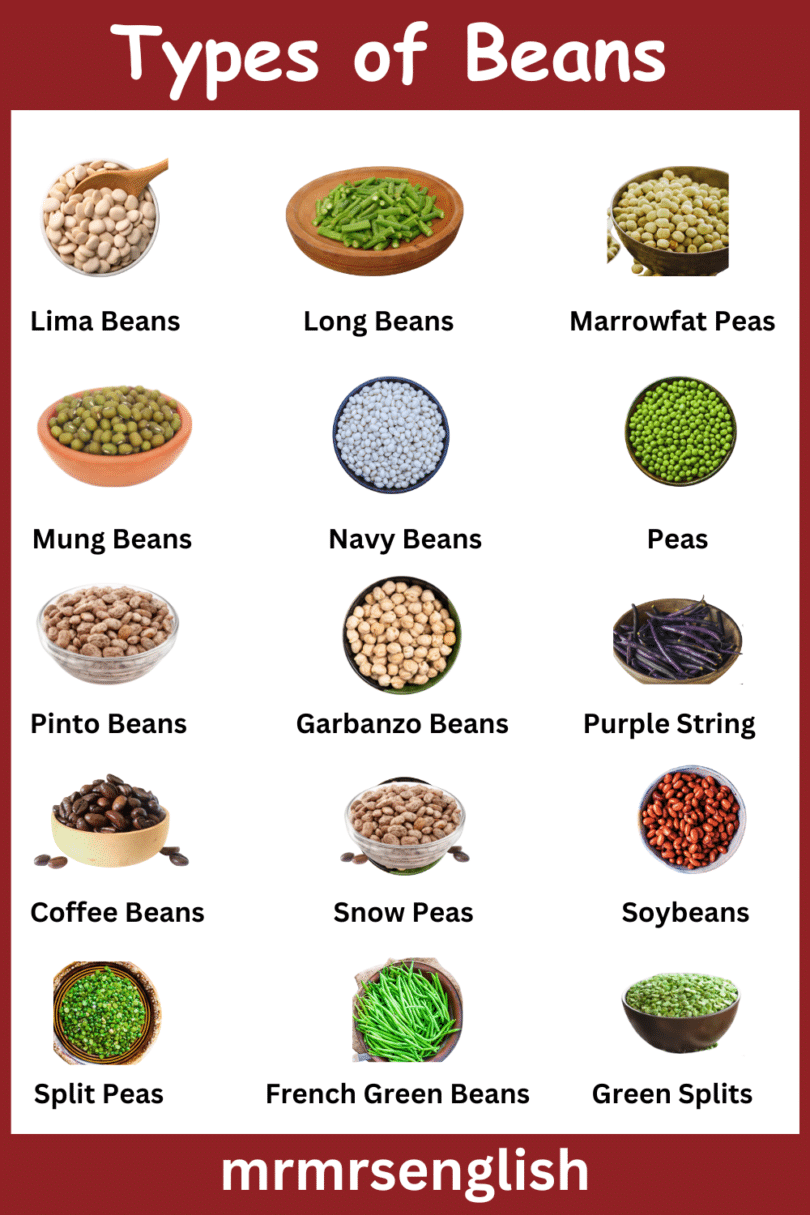 Different Types of Beans Names in English and Their pictures - MR MRS ...