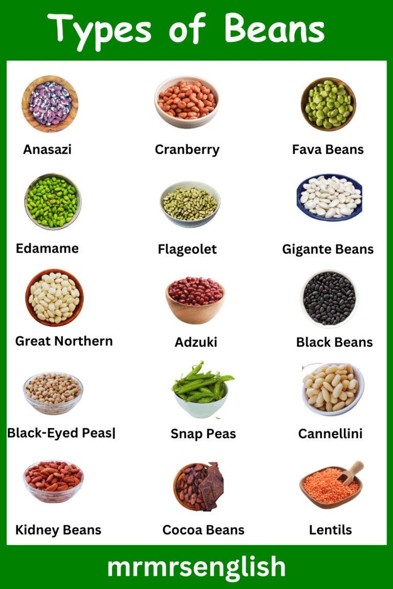 Different Types of Beans Names in English and Their pictures - MR MRS ...