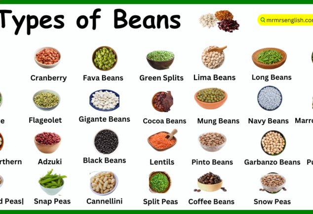Types of beans Archives - MR MRS ENGLISH