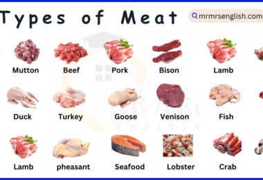 Different types of flowers names vocabulary and Pictures - MR MRS ENGLISH
