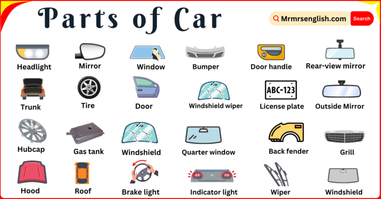 All Parts of Car Names in English and Their Pictures - MR MRS ENGLISH
