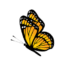 60 Insects Names in English with Their Pictures - MR MRS ENGLISH
