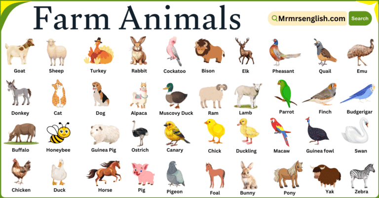 Farm Animals Names in English with Their Pictures - MR MRS ENGLISH