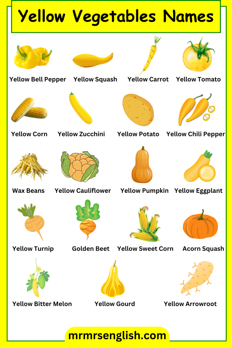 20 Yellow Vegetables Names in English and Their Pictures - MR MRS ENGLISH
