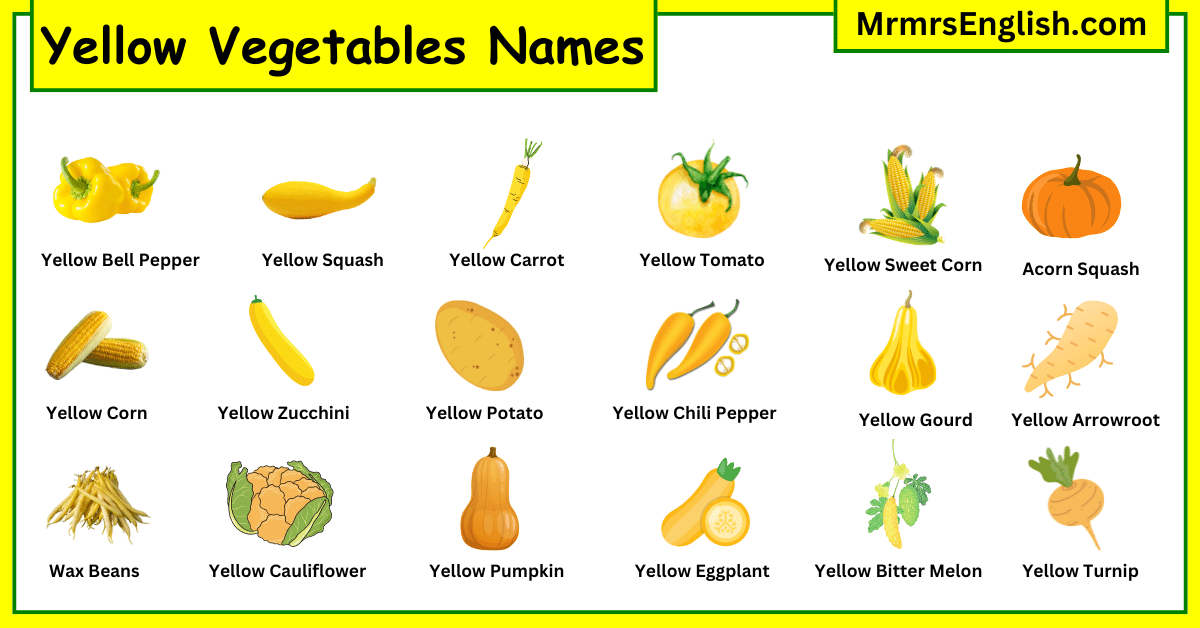 20 Yellow Vegetables Names in English and Their Pictures - MR MRS ENGLISH