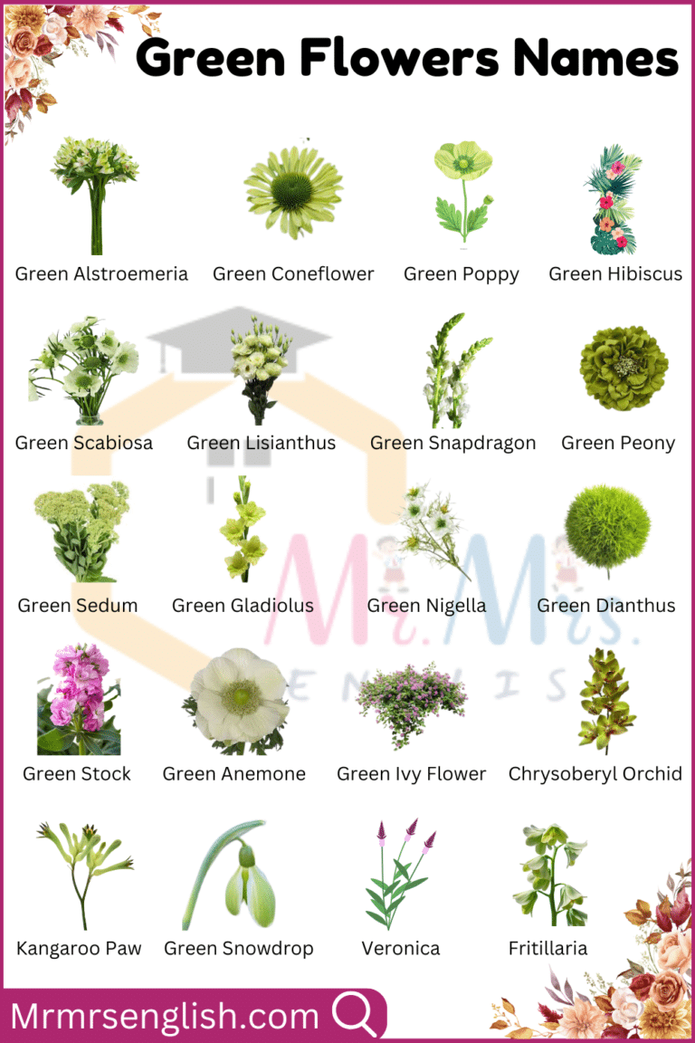 Green Flowers Names in English and Pictures - MR MRS ENGLISH