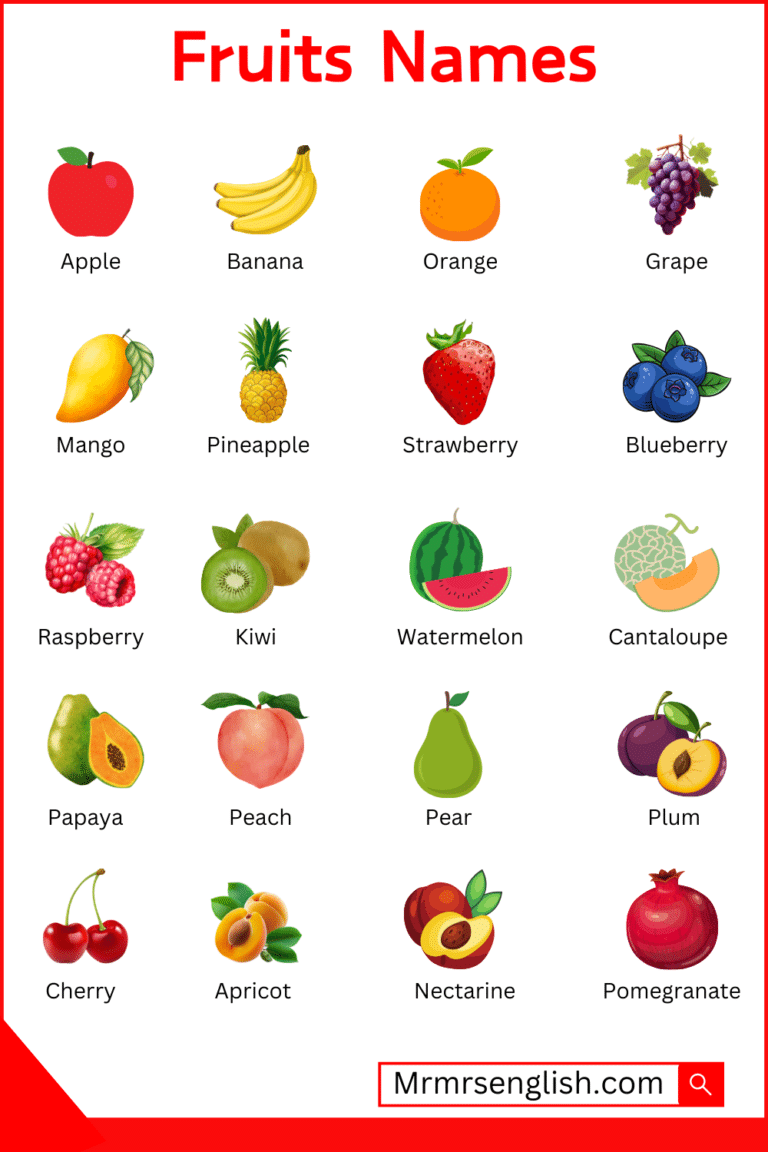 Types of Fruits names in English and Their Pictures MR MRS ENGLISH