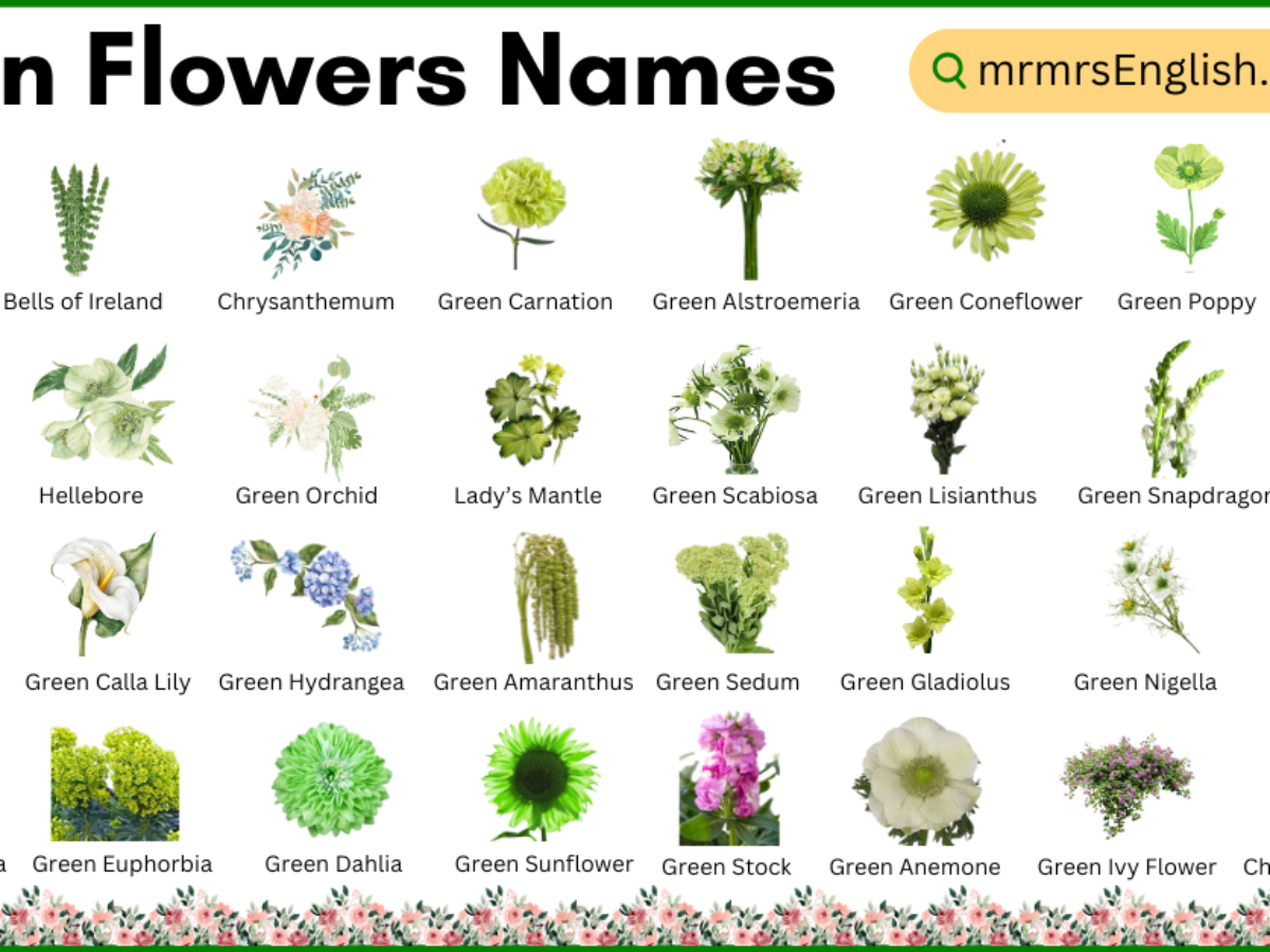 Green Flowers Images And Names In Nigeria Images - Infoupdate.org