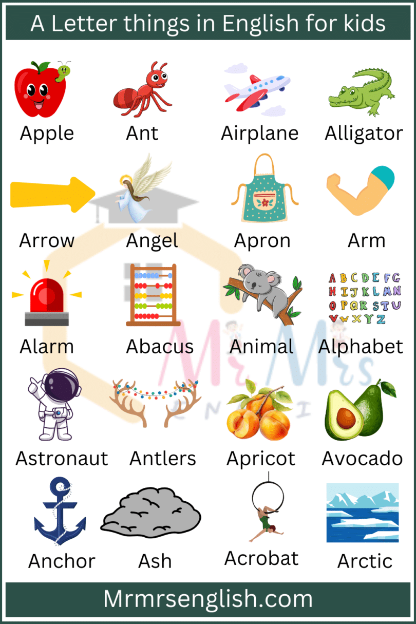 A Letter things in English for kids and Their Pictures - MR MRS ENGLISH