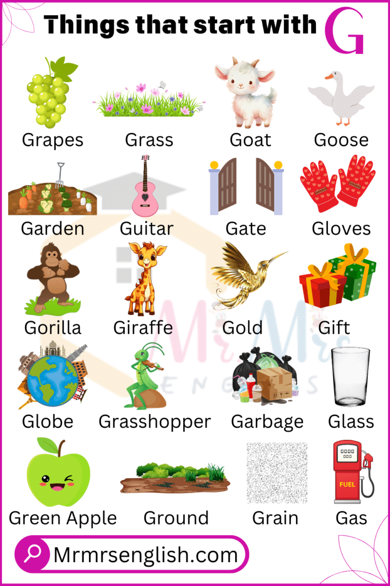 G letter Things names for kids with Their Pictures - MR MRS ENGLISH