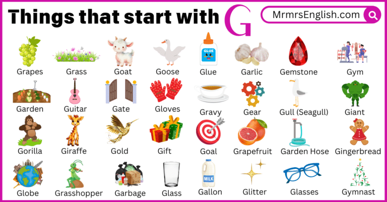 G letter Things names for kids with Their Pictures - MR MRS ENGLISH