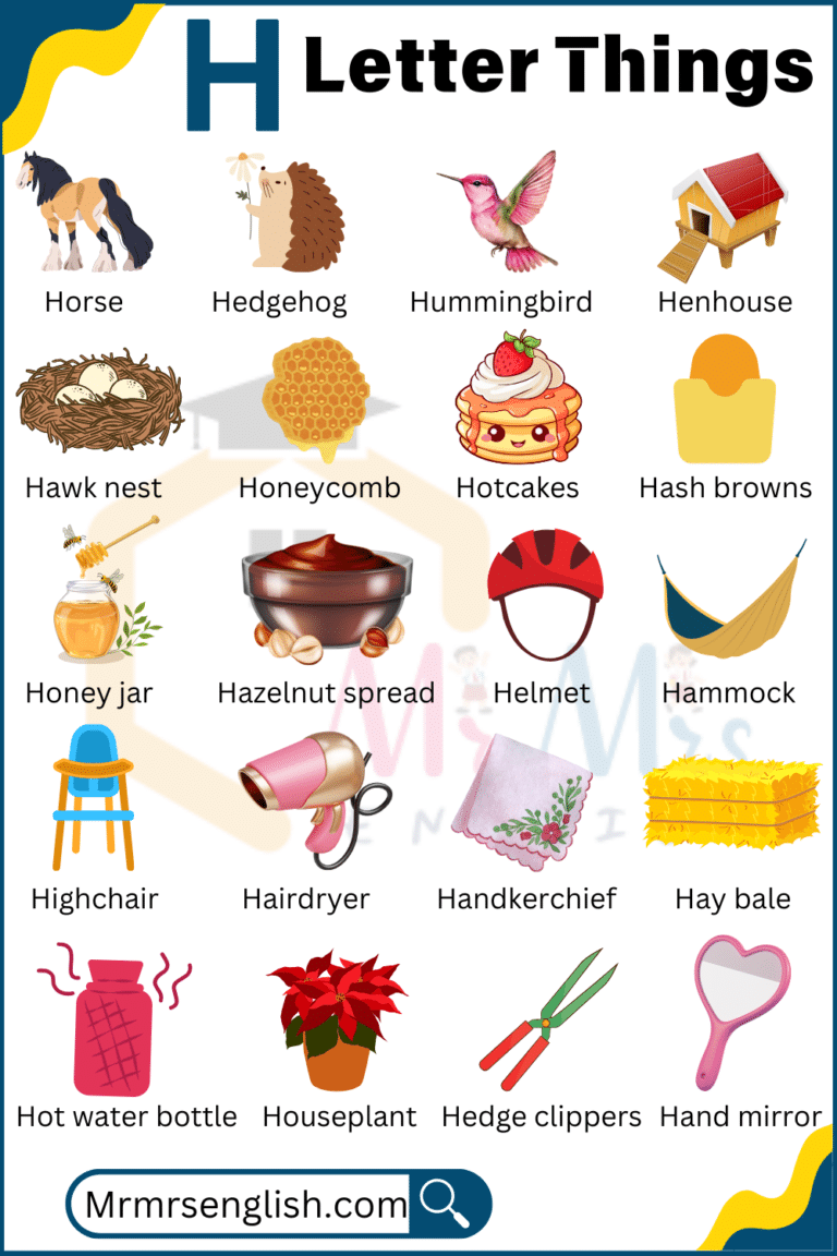H Letter things names in English for Kids and Pictures - MR MRS ENGLISH