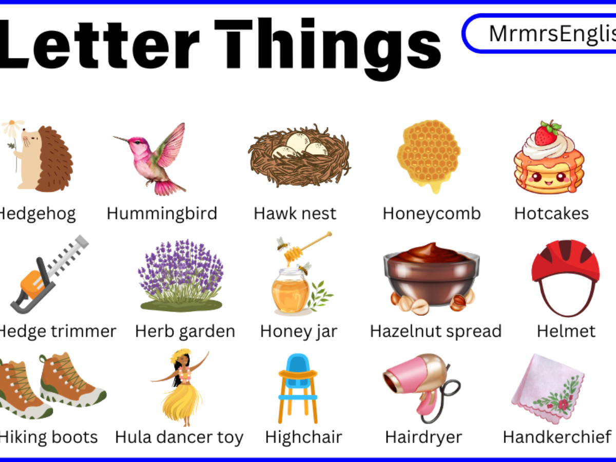 H Words For Kids H Letter Objects And Animals Including Hedgehog,