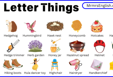 MR MRS ENGLISH - Learning English Made Effortless