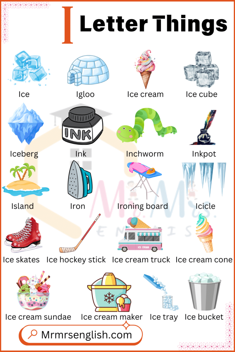 I letter Things in English for Kids and their Pictures - MR MRS ENGLISH