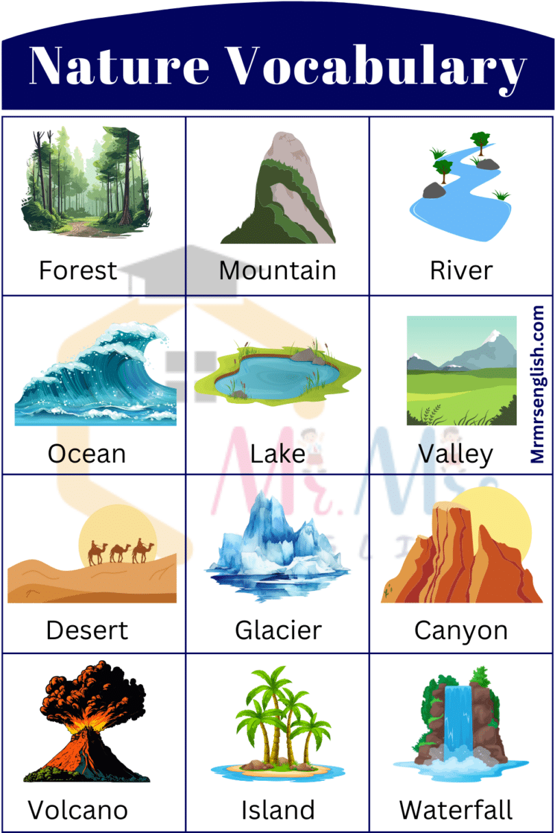 80 Nature Vocabulary Words in English and Pictures - MR MRS ENGLISH