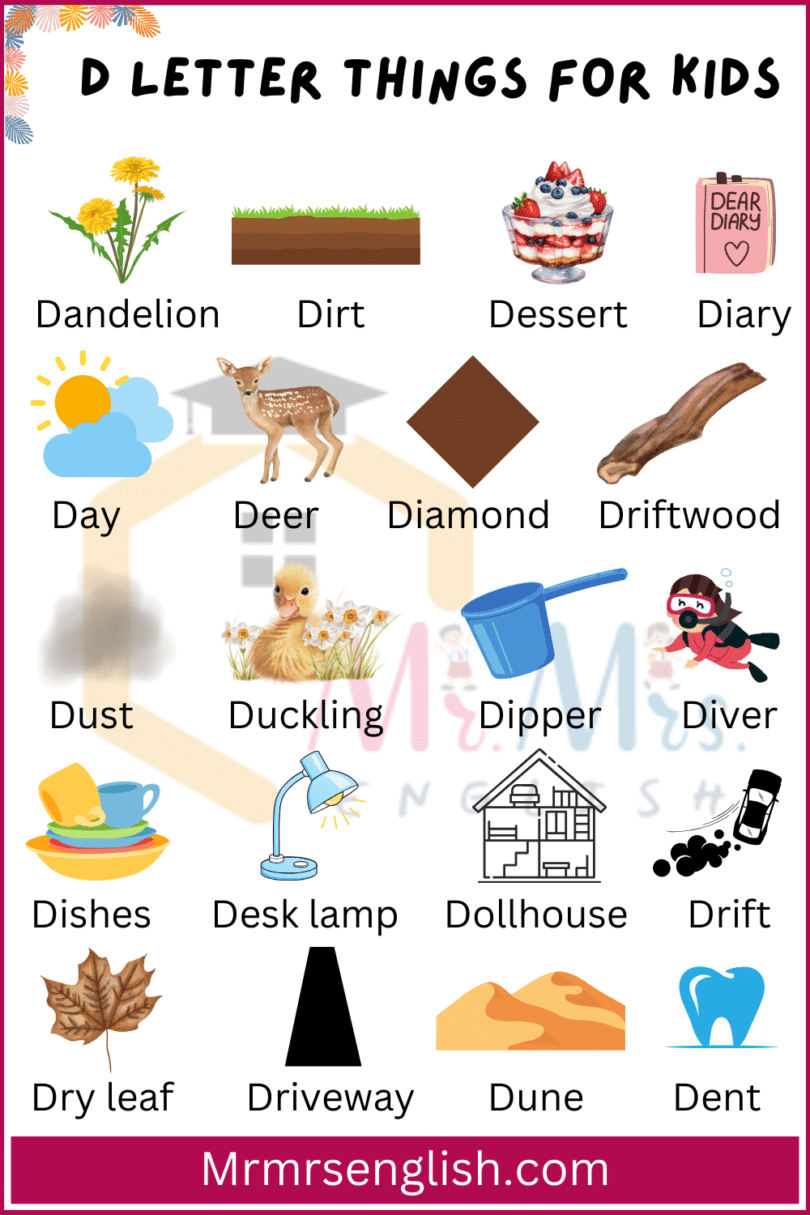 D Letter Things and Pictures for kids in English - MR MRS ENGLISH