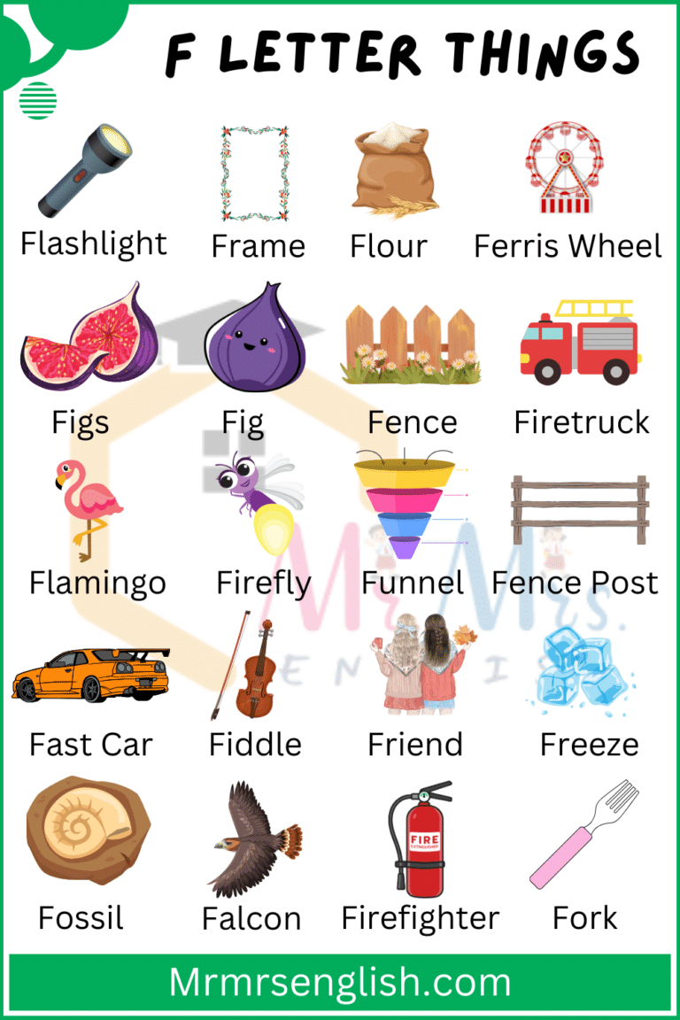 F letter Things in English and Pictures for kids - MR MRS ENGLISH
