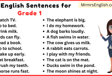 120 English Sentences for Grade 2 with Pictures - MR MRS ENGLISH