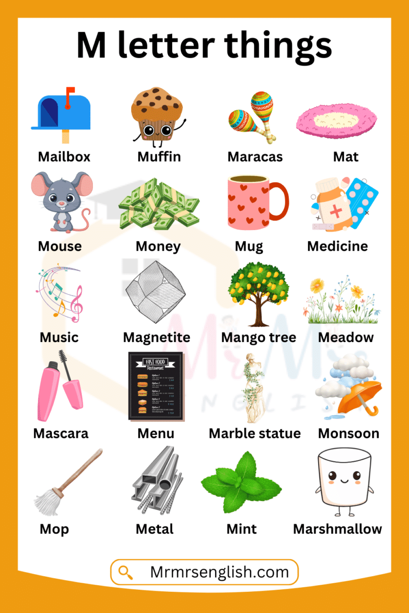 M letter things for Kids in English with Their Pictures - MR MRS ENGLISH