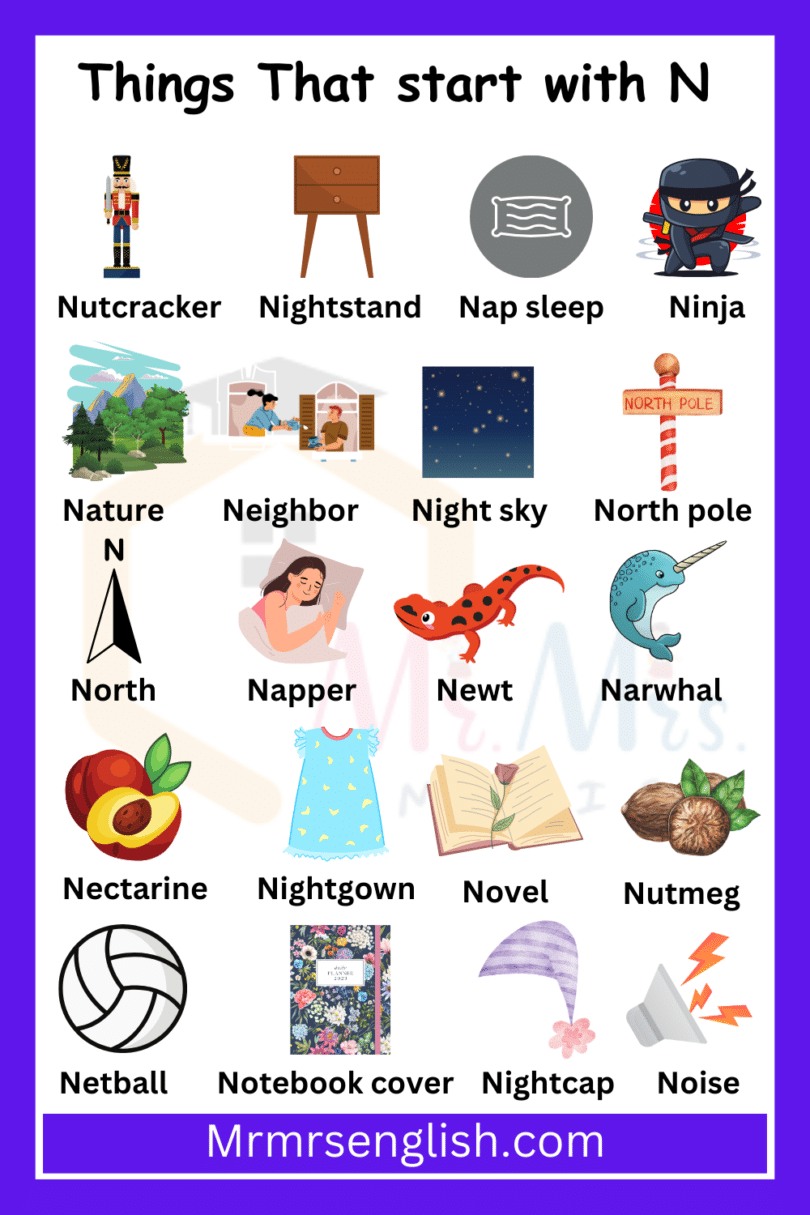 N letter things names and Their Pictures for Kids - MR MRS ENGLISH
