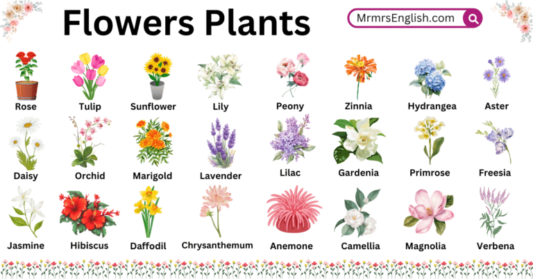 Flowers Plants Names in English with Their Pictures - MR MRS ENGLISH