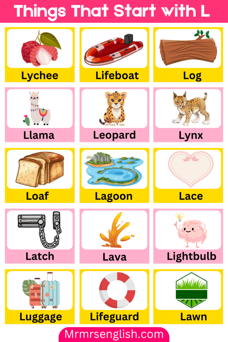 L letter things names in English with their Pictures - MR MRS ENGLISH